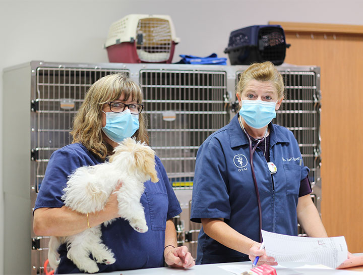 Terre Haute Veterinary Services | Exceptional Veterinary Care
